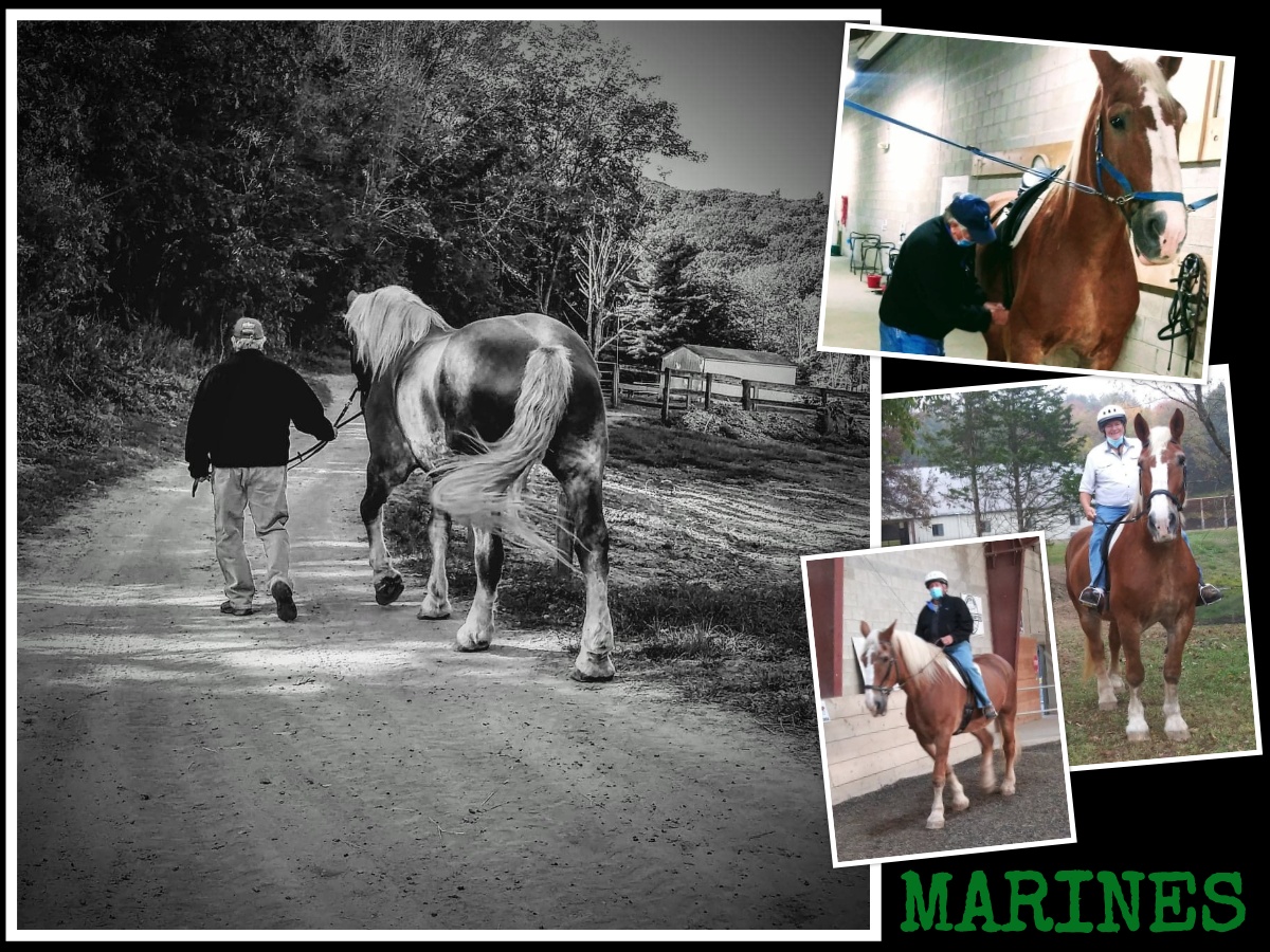 Grant from PATH Intl. Gives Veterans Opportunity – Winslow Therapeutic ...